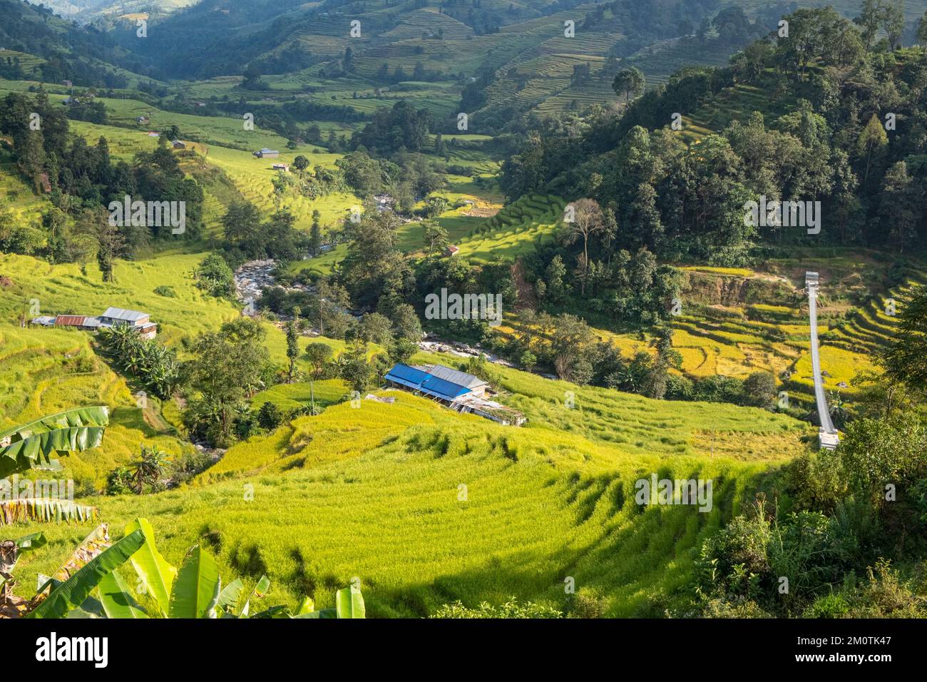 Nepal, Nagarkot region, surroundings of Tukucha Nala, rice terraces ...