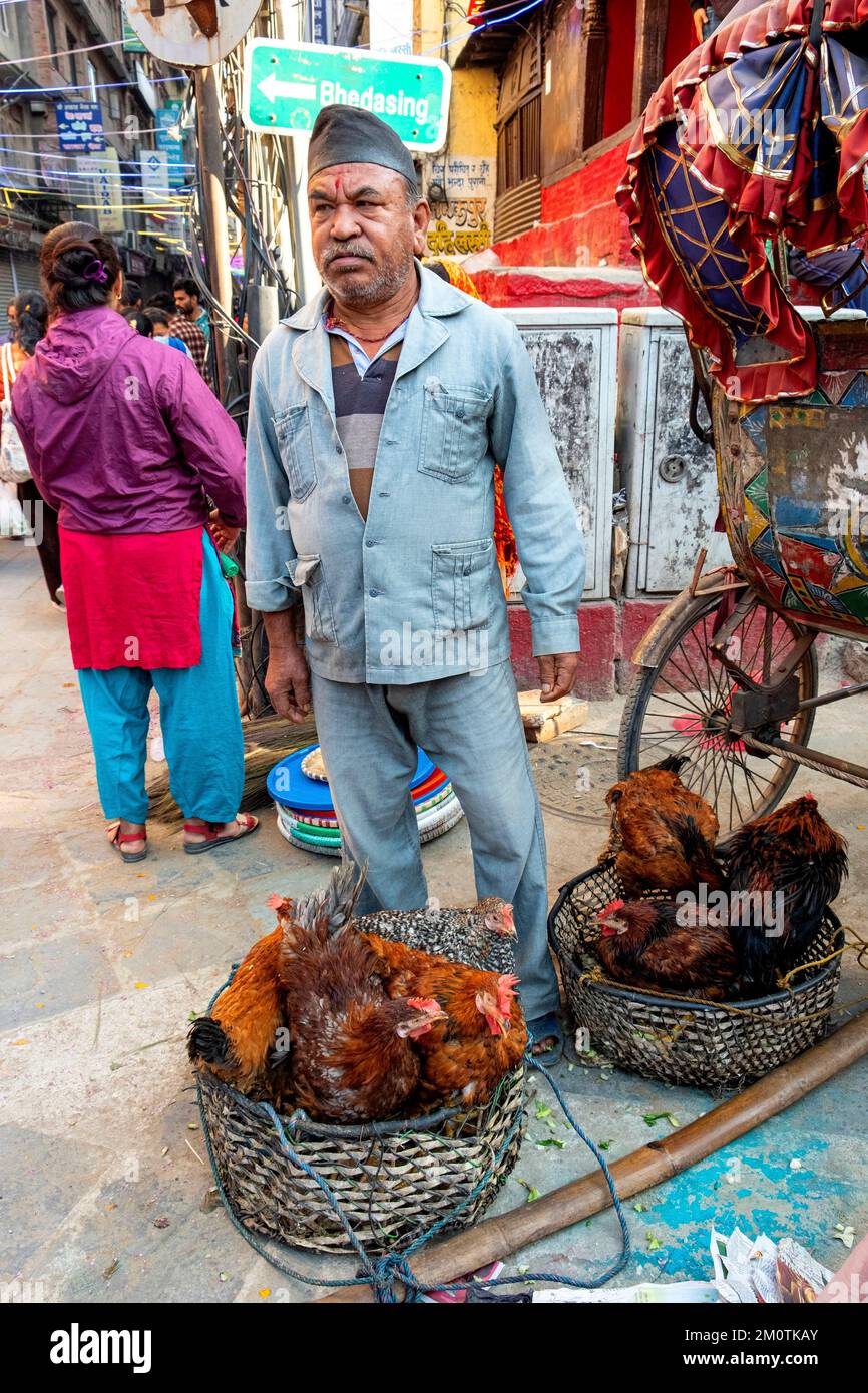 Open chickens hi-res stock photography and images - Alamy
