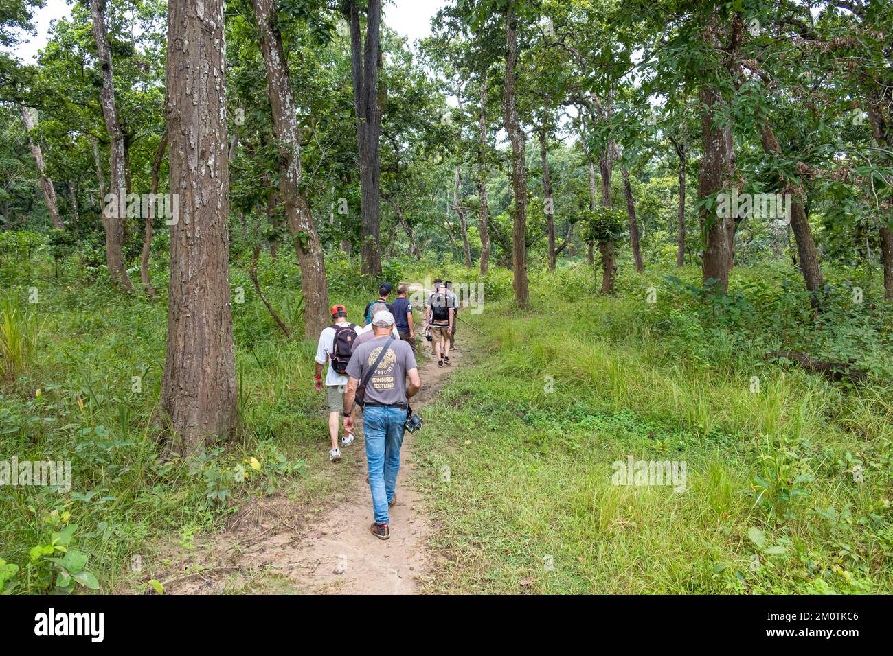 Nepal, Terai region, Narayani area, Chitwan National Park, excursion in ...