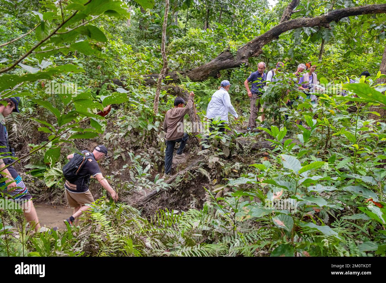 Nepal, Terai region, Narayani area, Chitwan National Park, excursion in ...