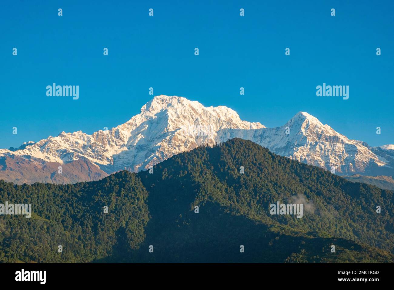 Nepal, Dhampus, sunrise over Annapurna Stock Photo - Alamy