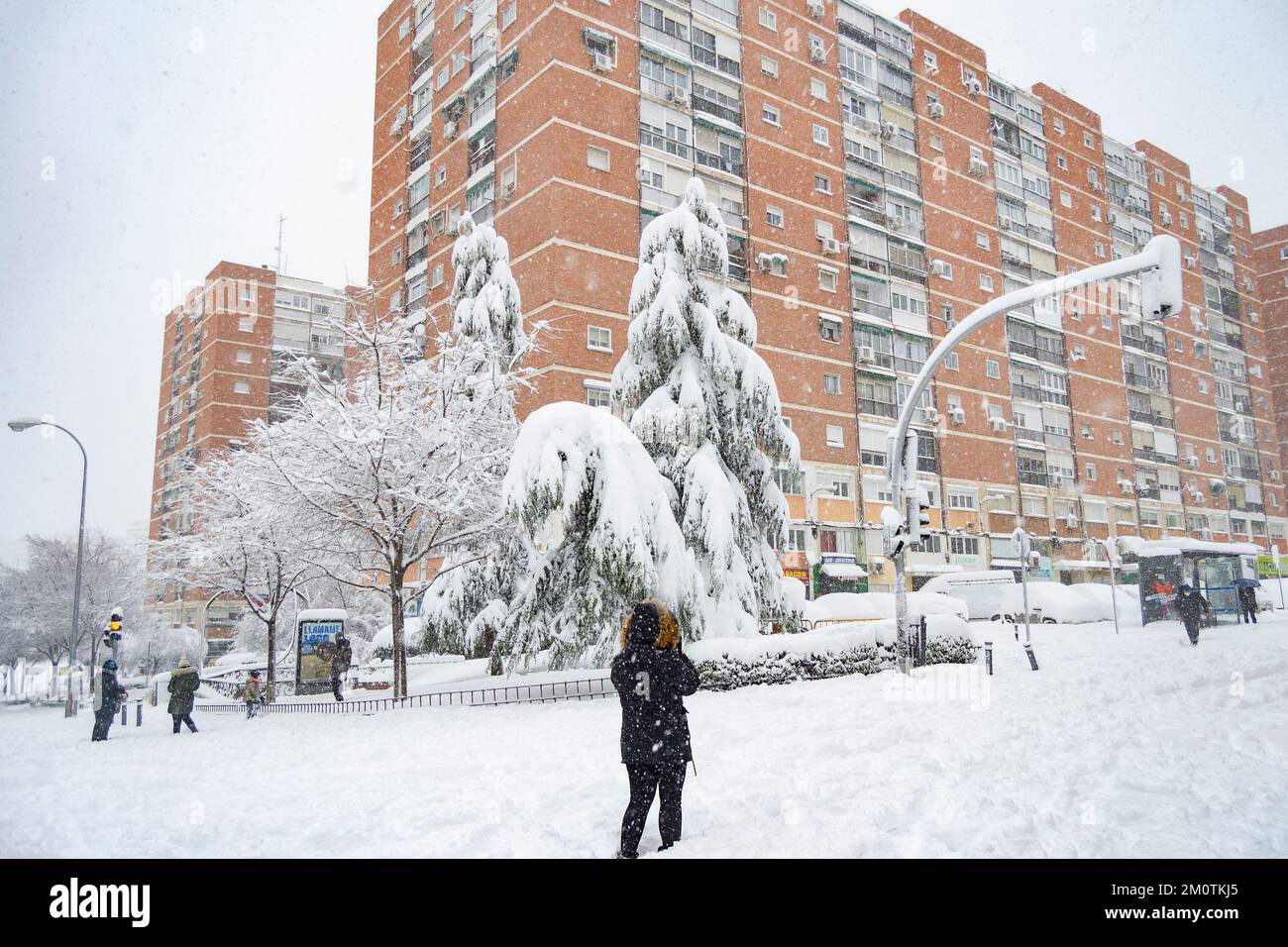 Snow. Blair. Wind. Street. Winter. Cold. Record. White cloak. Forest ...