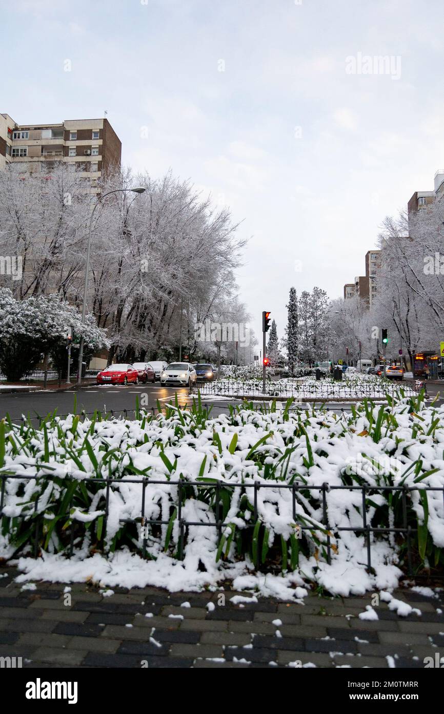 Snow. Blair. Wind. Street. Winter. Cold. Record. White cloak. Forest ...
