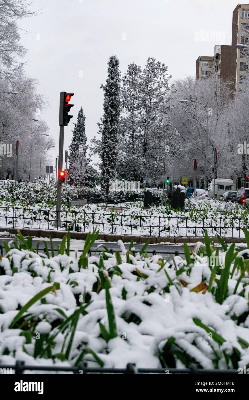 Snow. Blair. Wind. Street. Winter. Cold. Record. White cloak. Forest ...