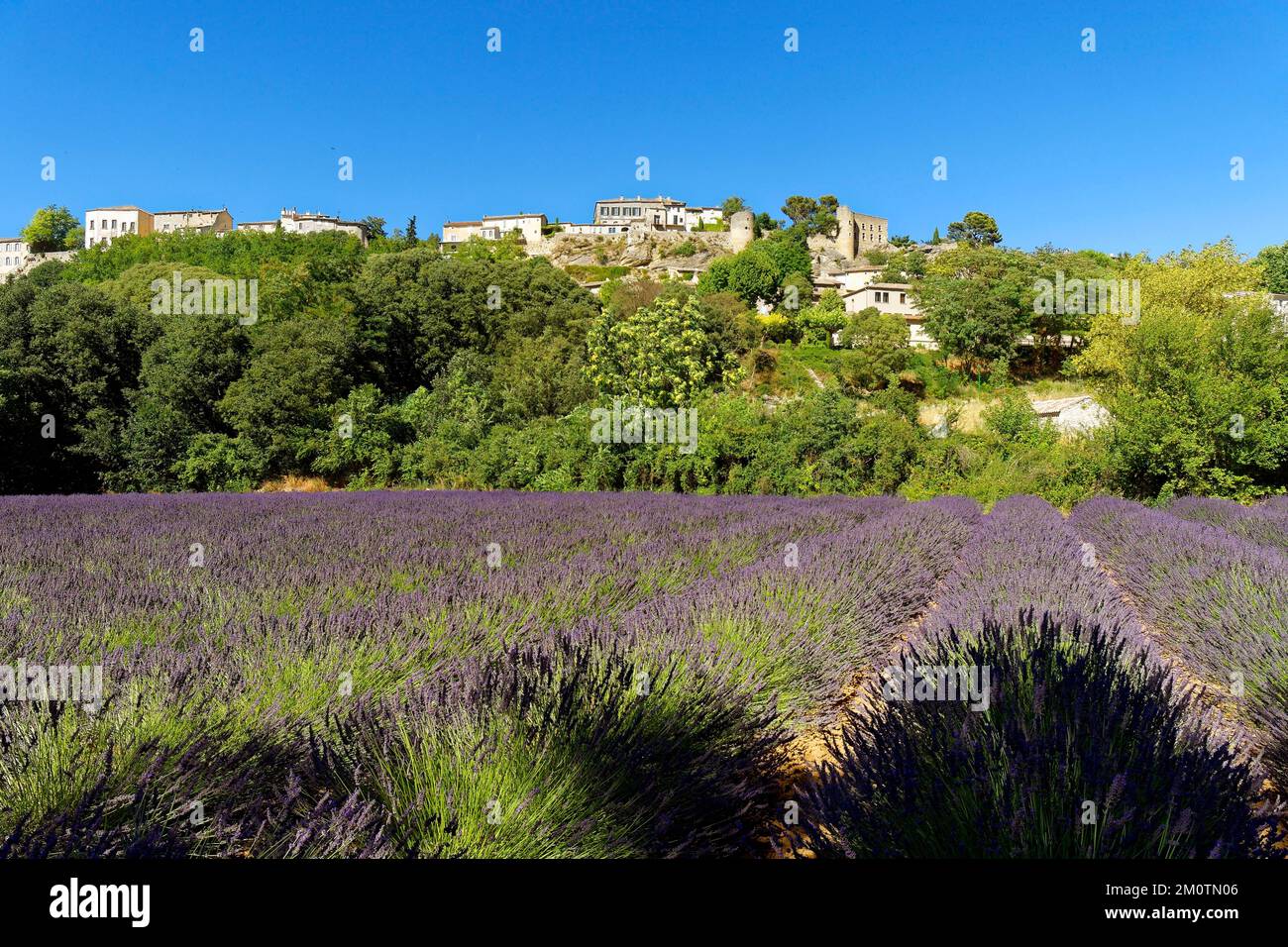 France, Vaucluse, Luberon regional nature park, Menerbes, labelled Les Plus Beaux Villages de ...