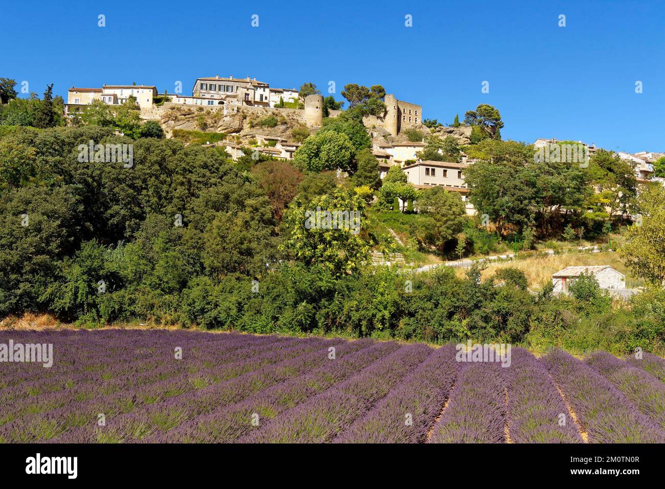 France, Vaucluse, Luberon regional nature park, Menerbes, labelled Les Plus Beaux Villages de ...