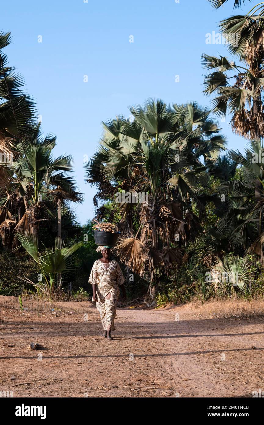 Senegal, Casamance, Ziguinchor district, woman of the Diola ethnic group Stock Photo - Alamy