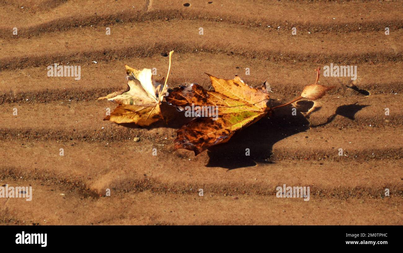Abstract wavy effect of sandy bottom with water movement with sunny ...