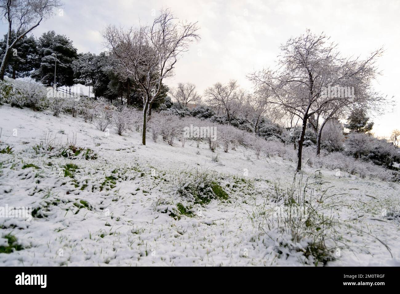 Snow. Blair. Wind. Street. Winter. Cold. Record. White cloak. Forest ...