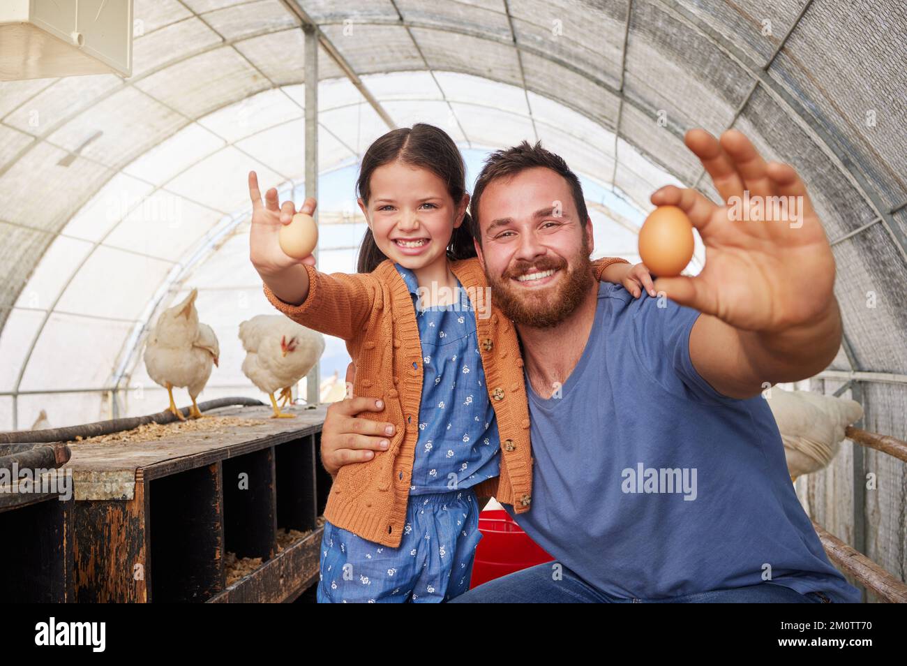 The love of chickens hatches success. a young girl helping her father ...