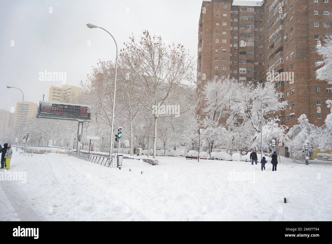 Snow. Blair. Wind. Street. Winter. Cold. Record. White cloak. Forest ...