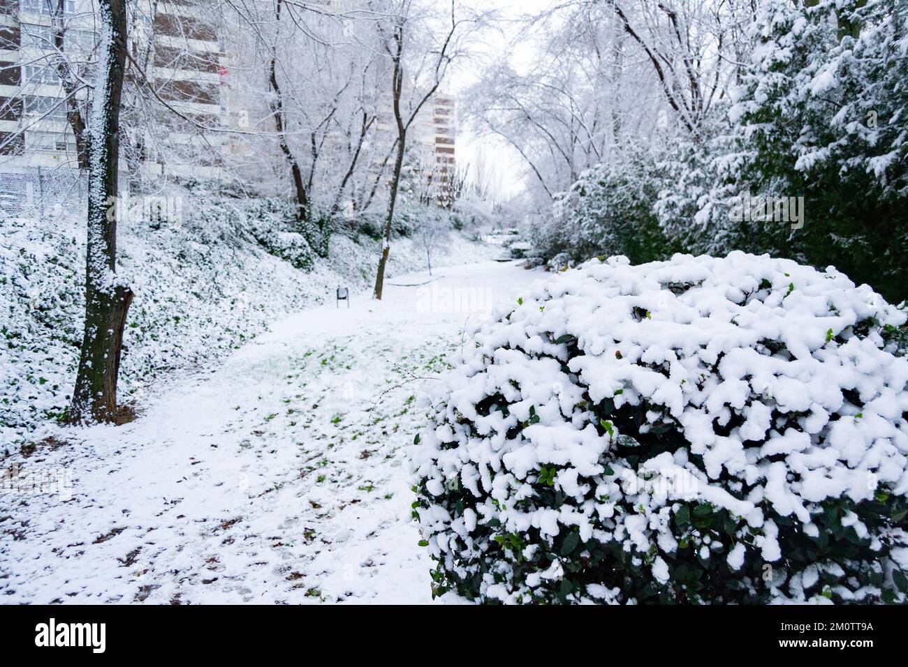 Snow. Blair. Wind. Street. Winter. Cold. Record. White cloak. Forest ...