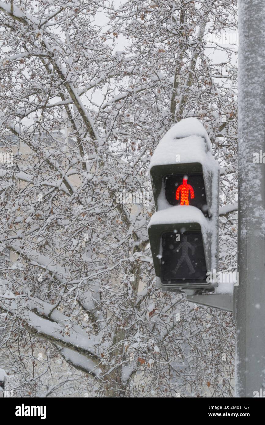 Snow. Blair. Wind. Street. Winter. Cold. Record. White cloak. Forest ...