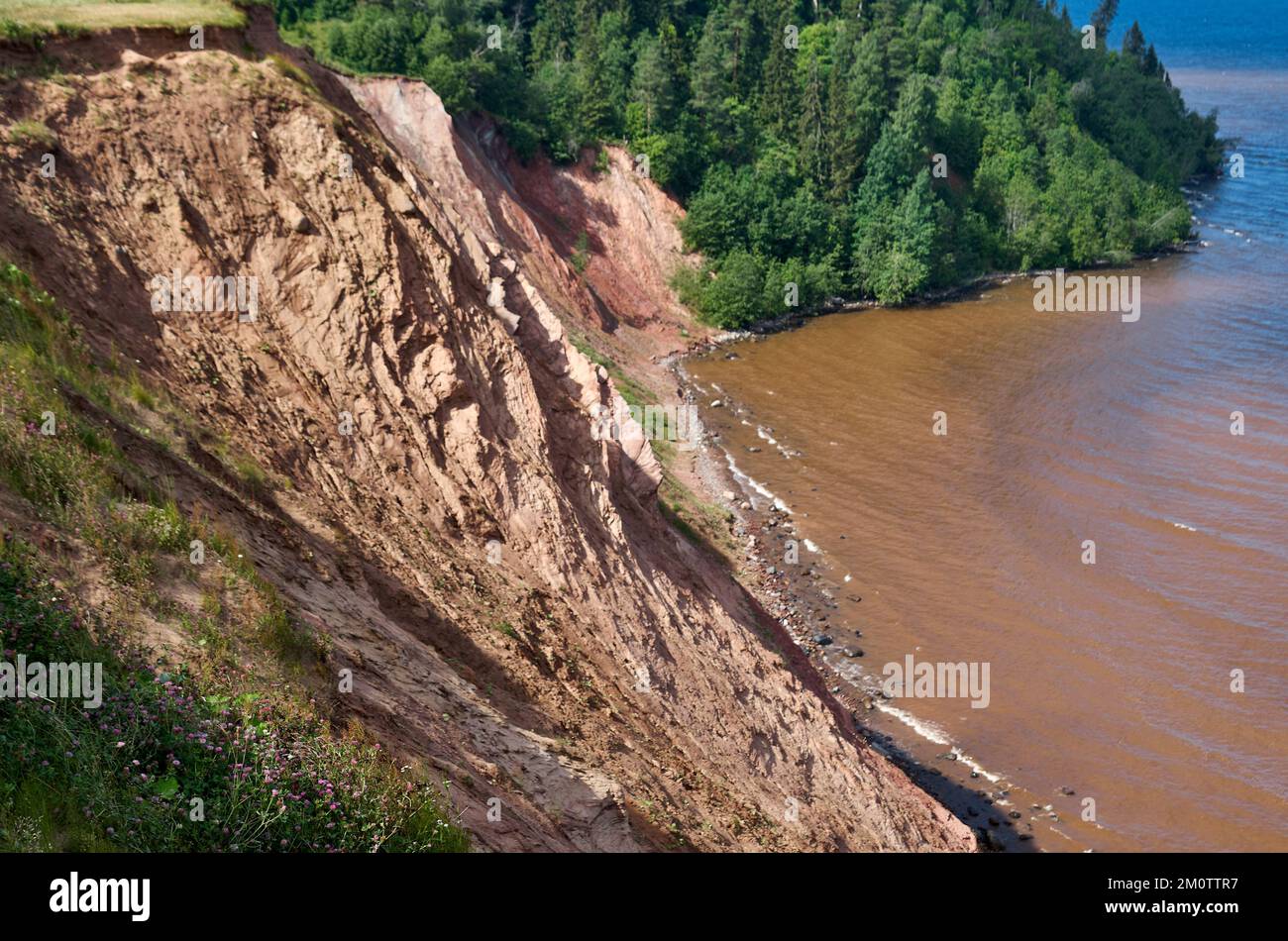 Steep shore over the lake. sunny summer landscape Stock Photo - Alamy