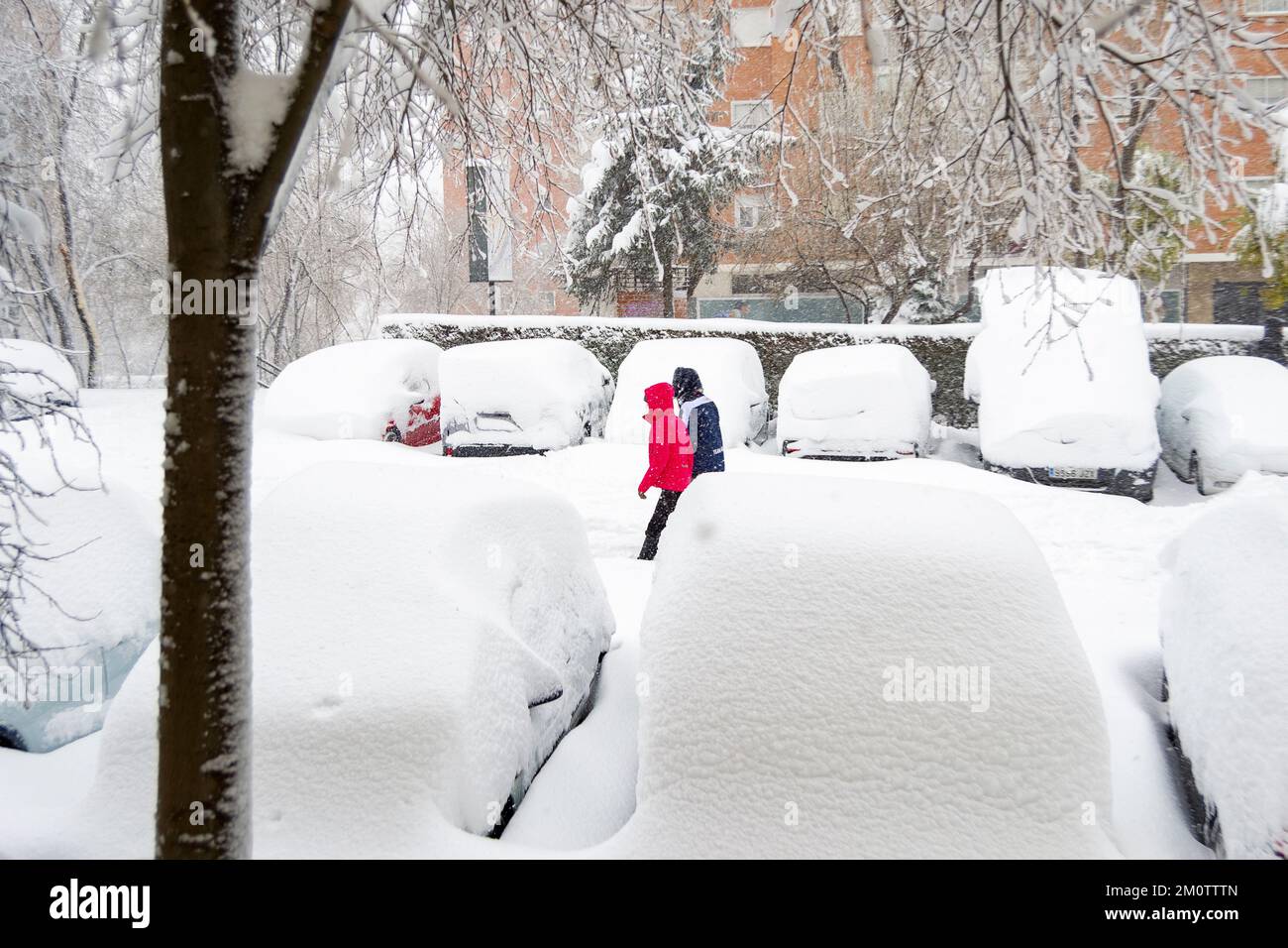 Snow. Obihiro. Japan. Blair. Wind. Street. Winter. Cold. Record. White ...