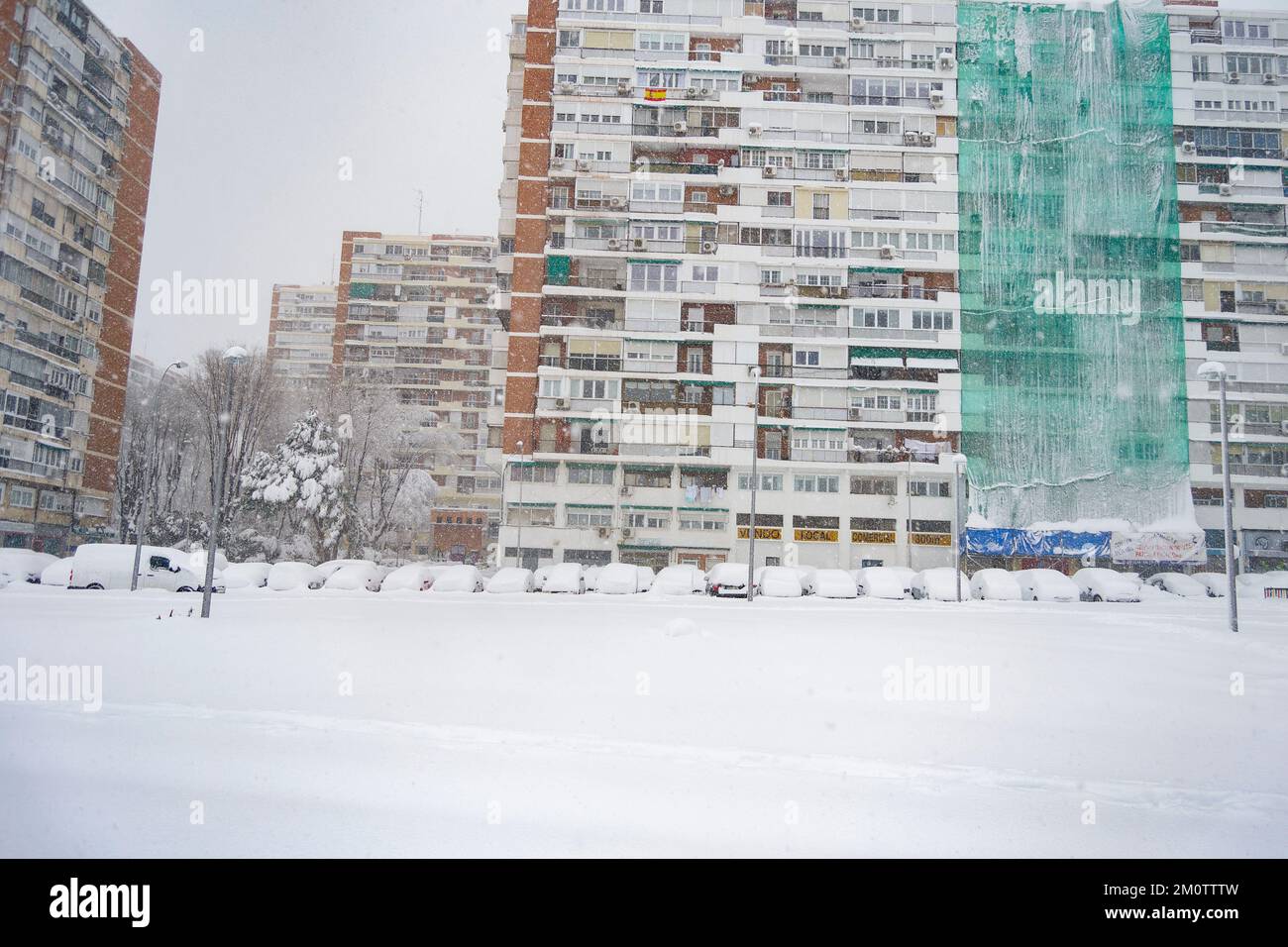 Snow. Obihiro. Japan. Blair. Wind. Street. Winter. Cold. Record. White ...