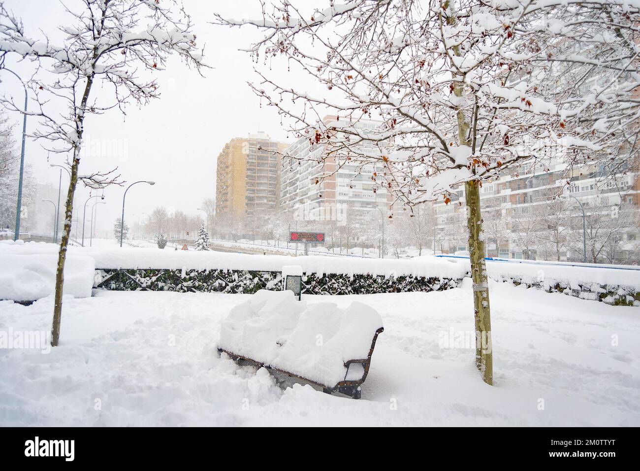 Snow. Obihiro. Japan. Blair. Wind. Street. Winter. Cold. Record. White ...