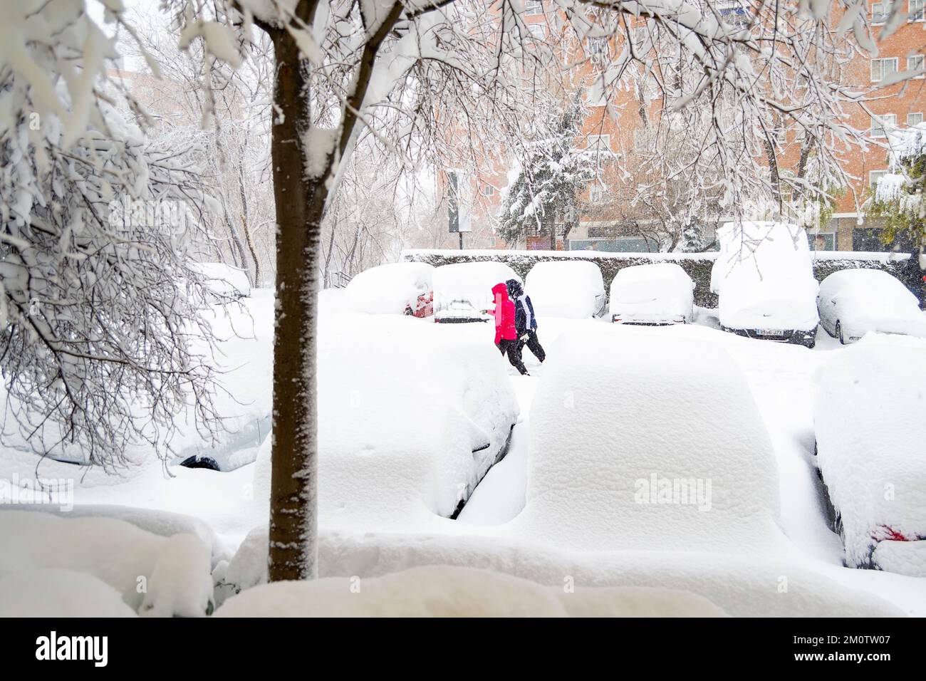 Mantle of snow hi-res stock photography and images - Alamy