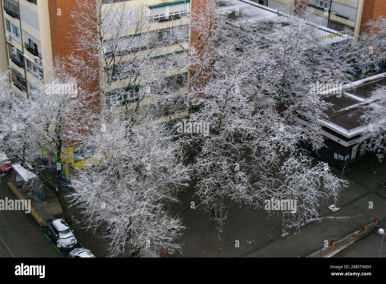 Snow. Blair. Wind. Street. Winter. Cold. Record. White cloak. Forest ...
