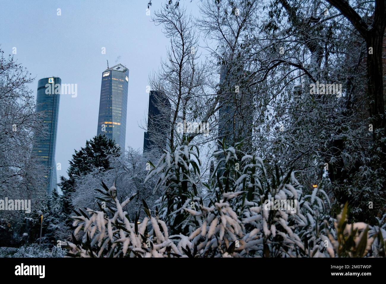 Snow. Blair. Wind. Street. Winter. Cold. Record. White cloak. Forest ...