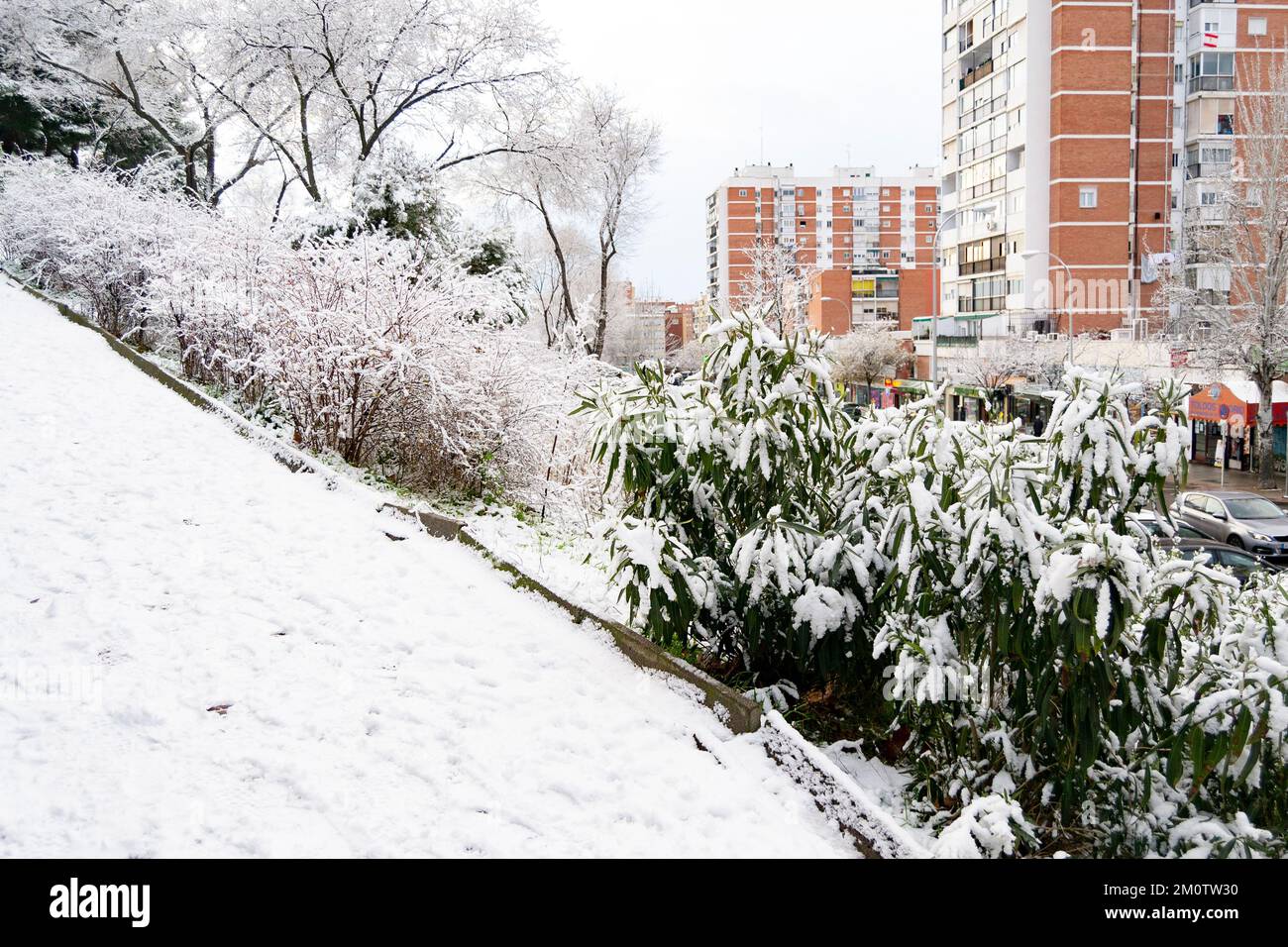 Snow. Streets covered in a white blanket of snow that covers all the ...