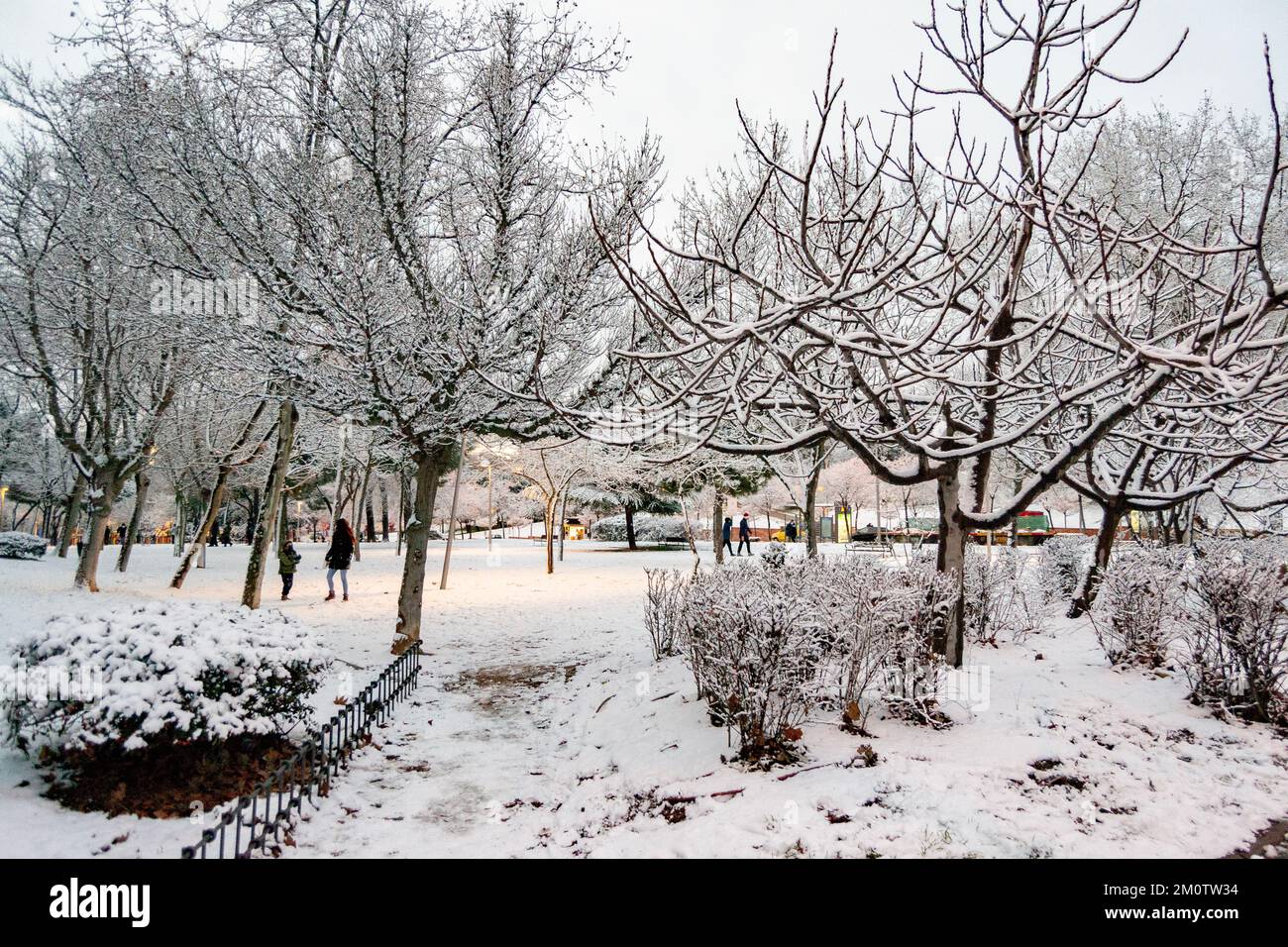 Snow. Obihiro. Japan. Blair. Wind. Street. Winter. Cold. Record. White ...