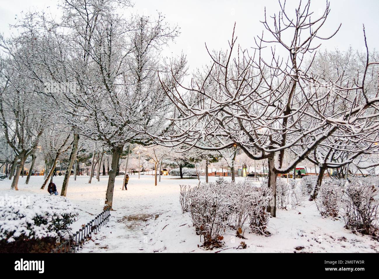 Snow. Obihiro. Japan. Blair. Wind. Street. Winter. Cold. Record. White ...