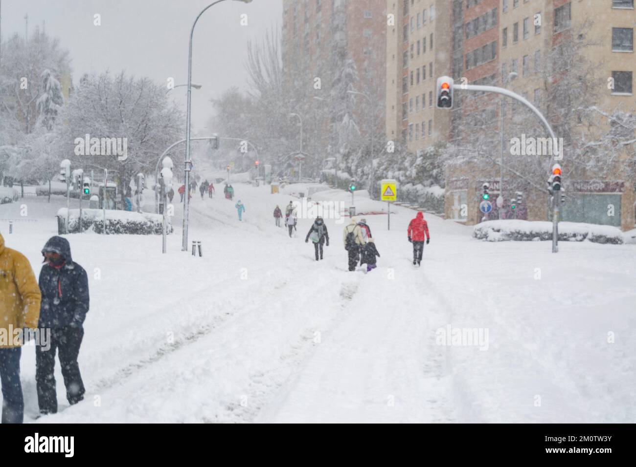 Snow. Obihiro. Japan. Blair. Wind. Street. Winter. Cold. Record. White ...