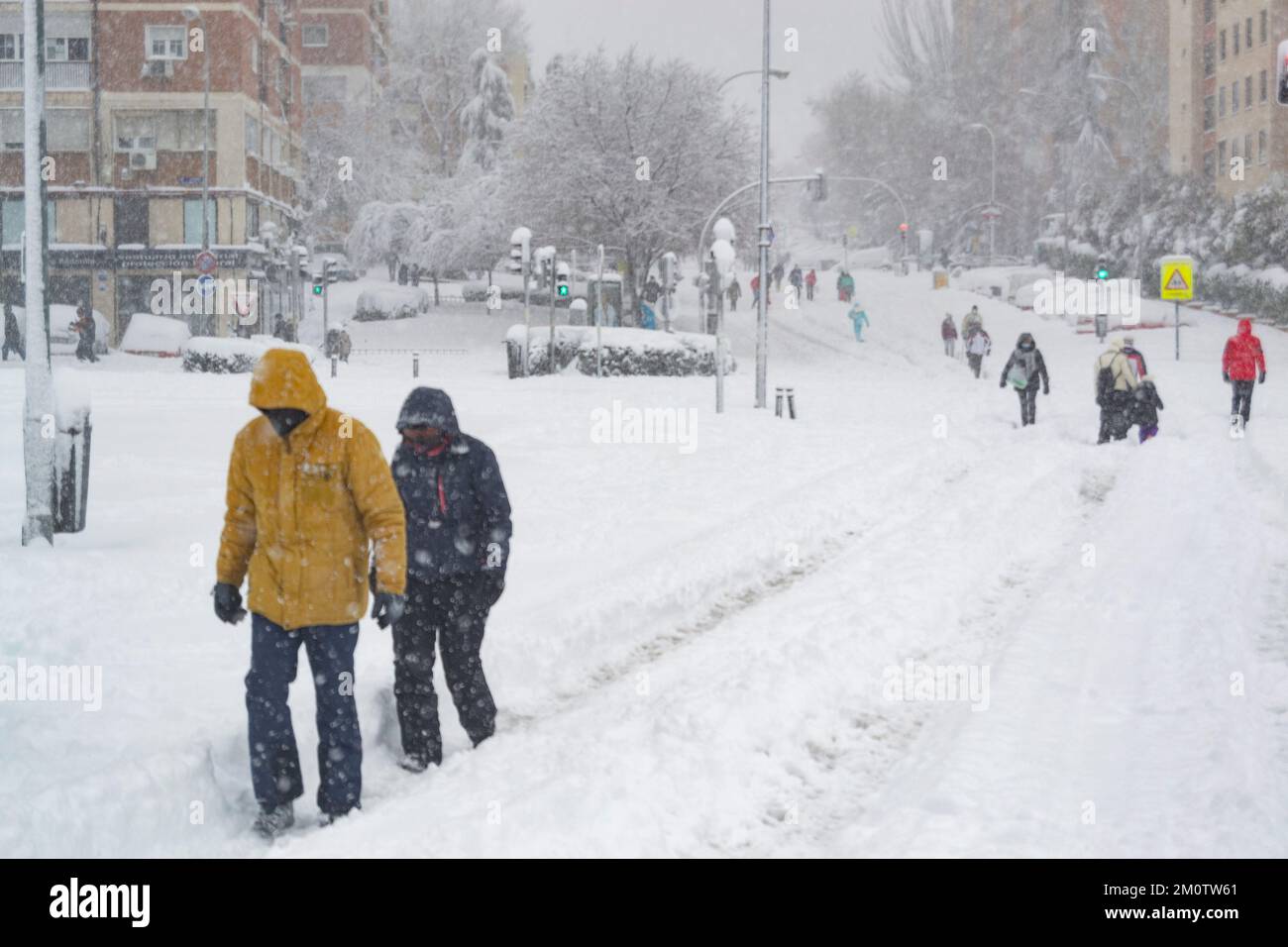Snow. Obihiro. Japan. Blair. Wind. Street. Winter. Cold. Record. White ...