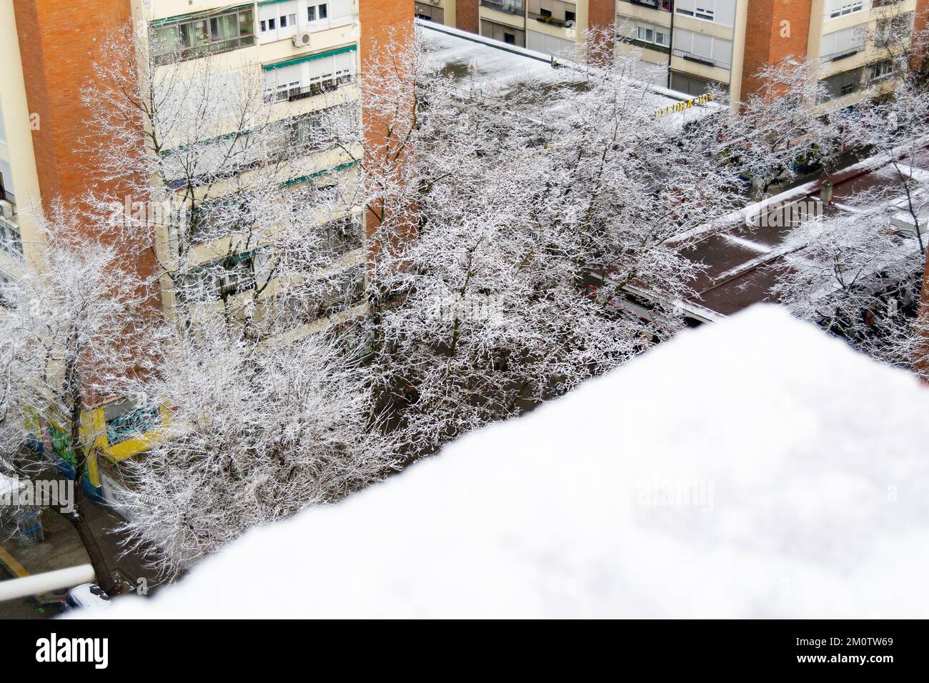 Snow. Obihiro. Japan. Blair. Wind. Street. Winter. Cold. Record. White ...
