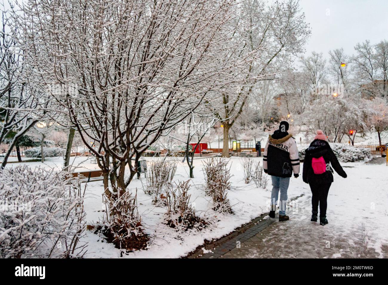 Snow. Obihiro. Japan. Blair. Wind. Street. Winter. Cold. Record. White ...