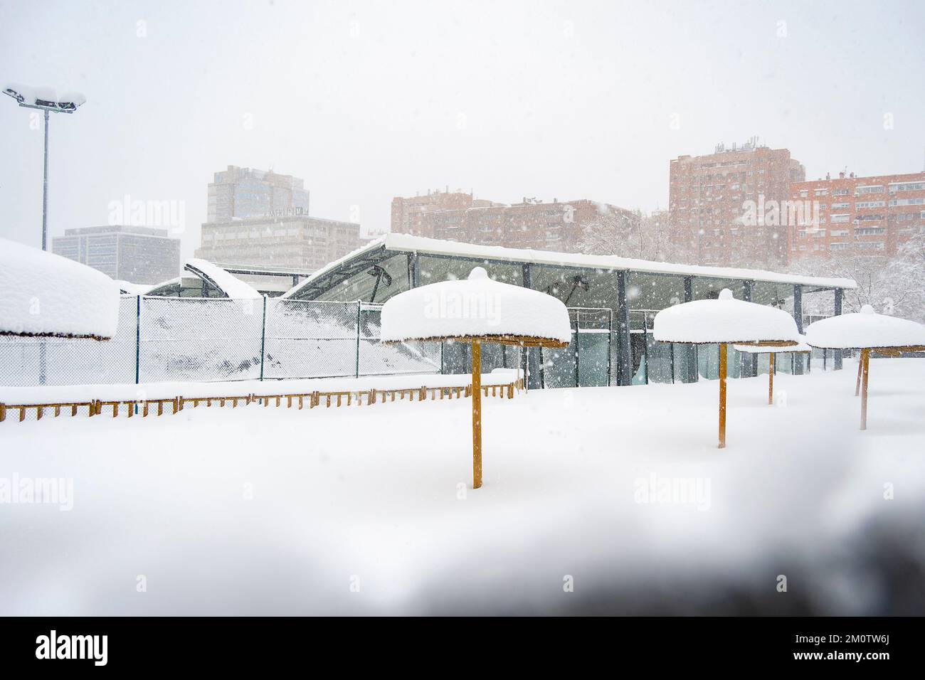 Snow. Obihiro. Japan. Blair. Wind. Street. Winter. Cold. Record. White ...