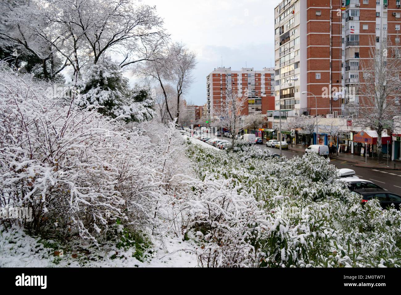 Snow. Obihiro. Japan. Blair. Wind. Street. Winter. Cold. Record. White ...