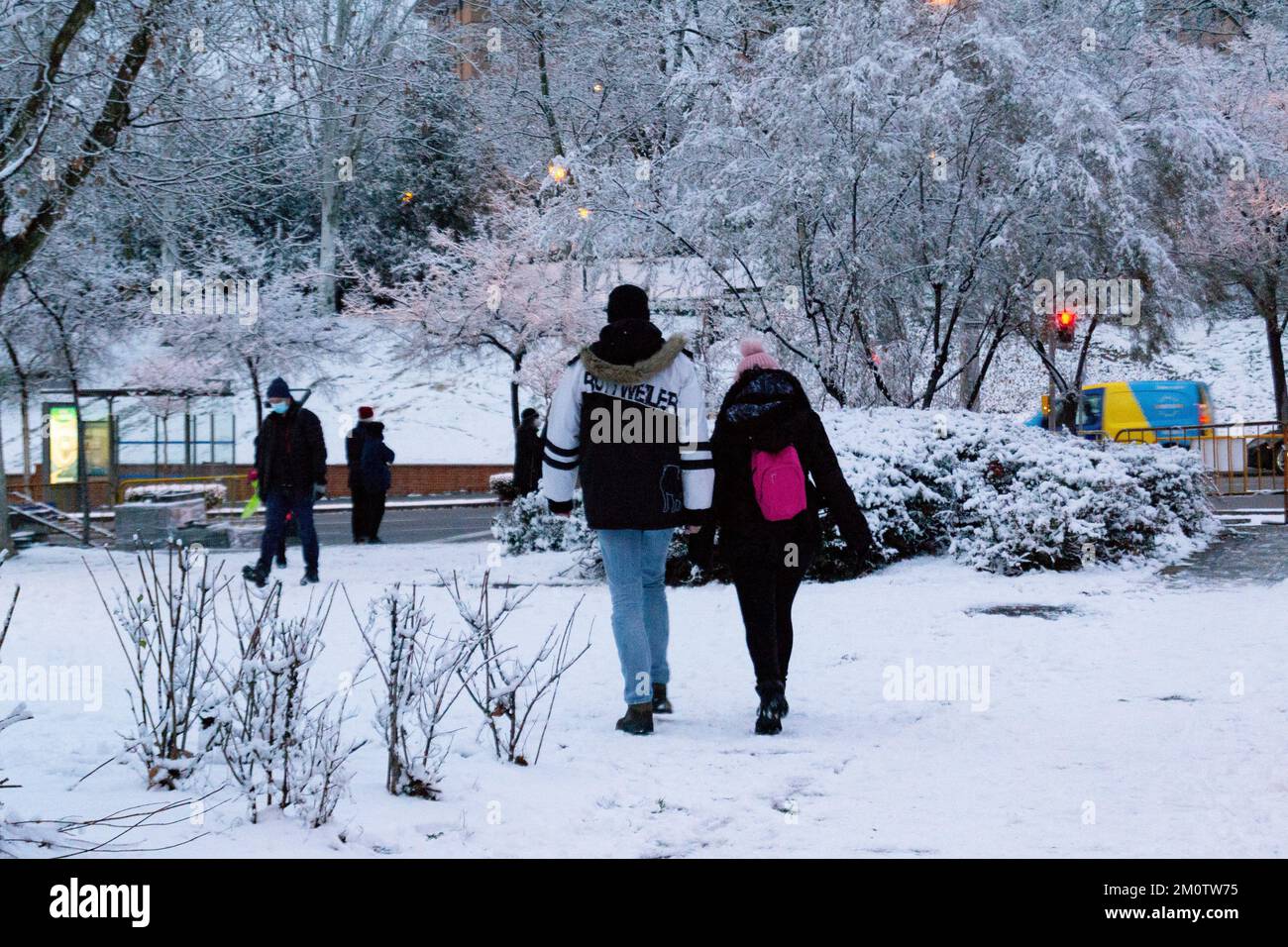 Snow. Obihiro. Japan. Blair. Wind. Street. Winter. Cold. Record. White ...