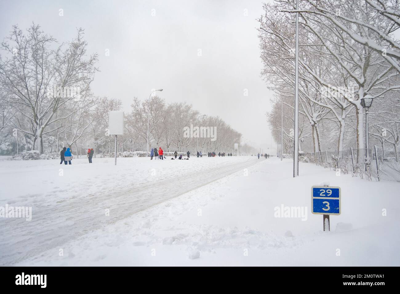 Snow. Blair. Wind. Street. Winter. Cold. Record. White cloak. Forest ...