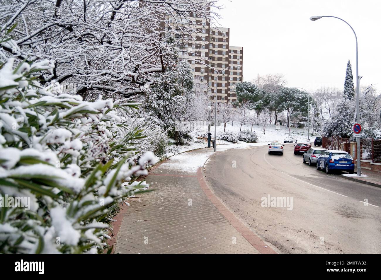 Snow. Obihiro. Japan. Blair. Wind. Street. Winter. Cold. Record. White ...