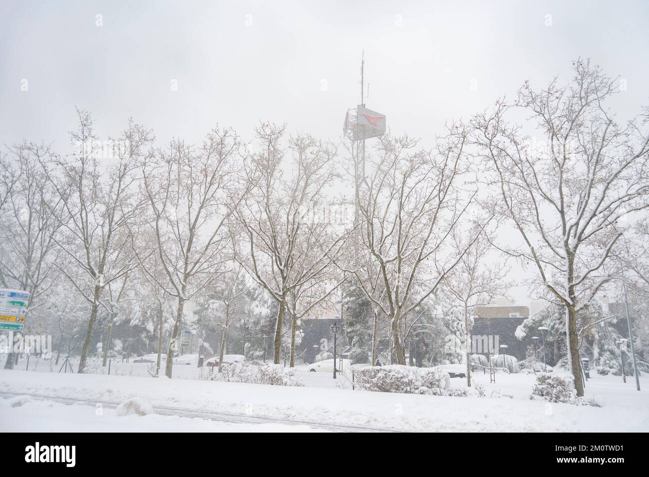 Snow. Obihiro. Japan. Blair. Wind. Street. Winter. Cold. Record. White ...