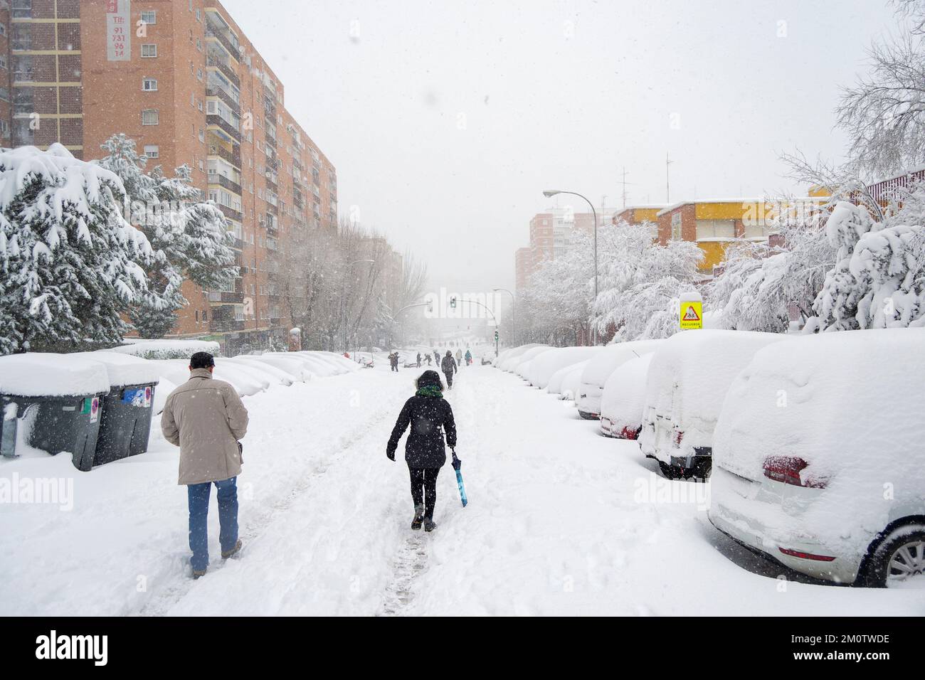 Snow. Obihiro. Japan. Blair. Wind. Street. Winter. Cold. Record. White ...