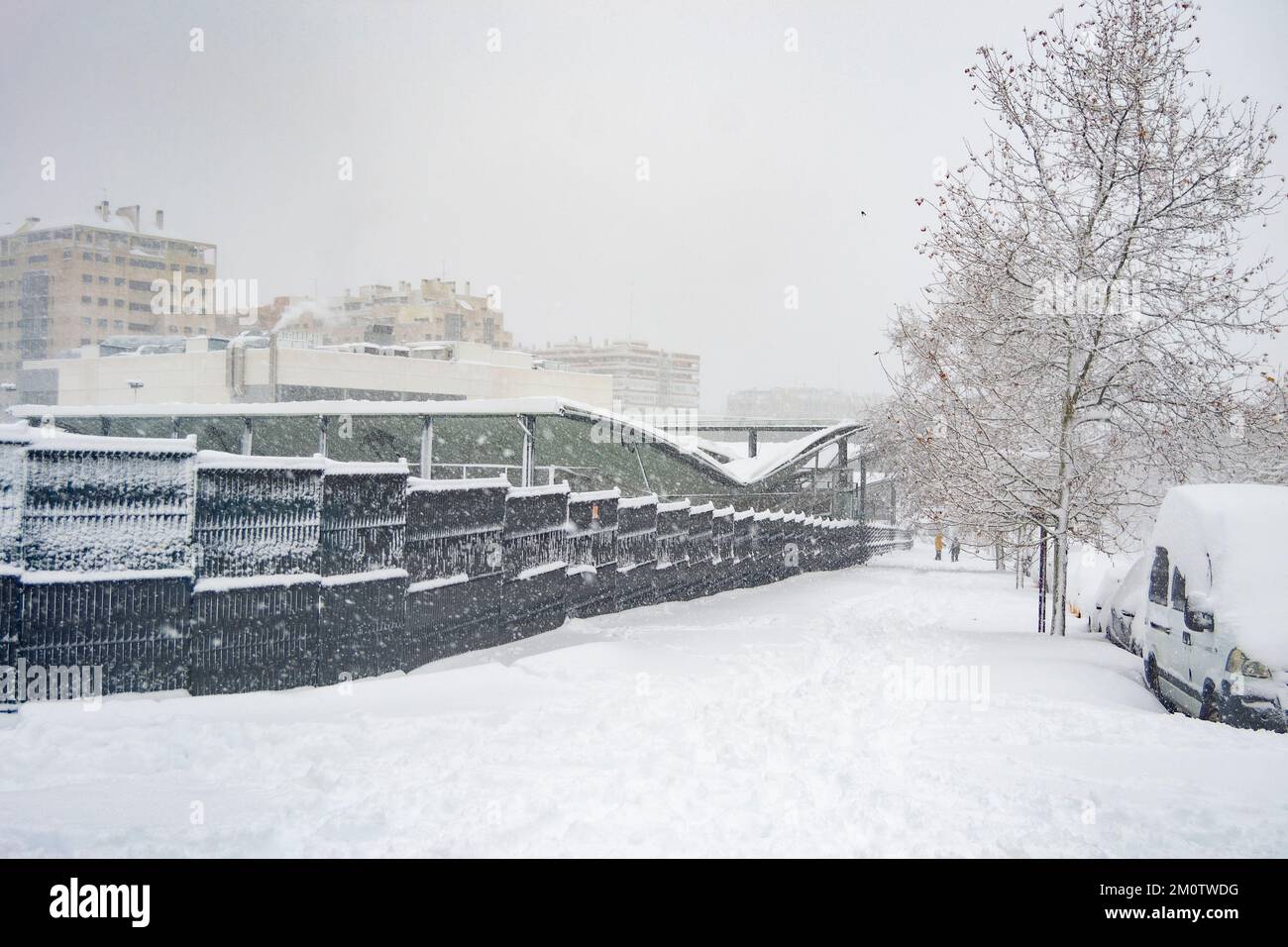 Snow. Obihiro. Japan. Blair. Wind. Street. Winter. Cold. Record. White ...