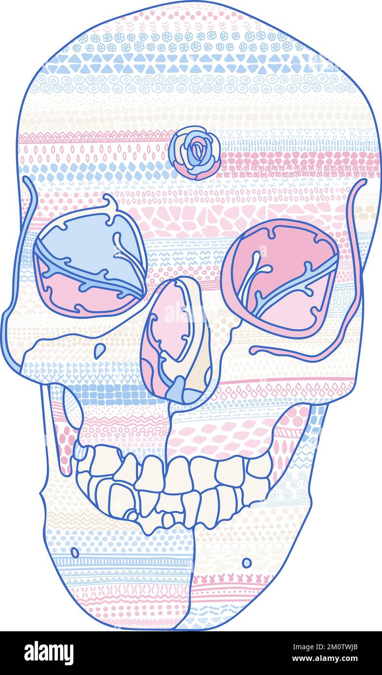 Skull with colors Stock Vector Images - Alamy