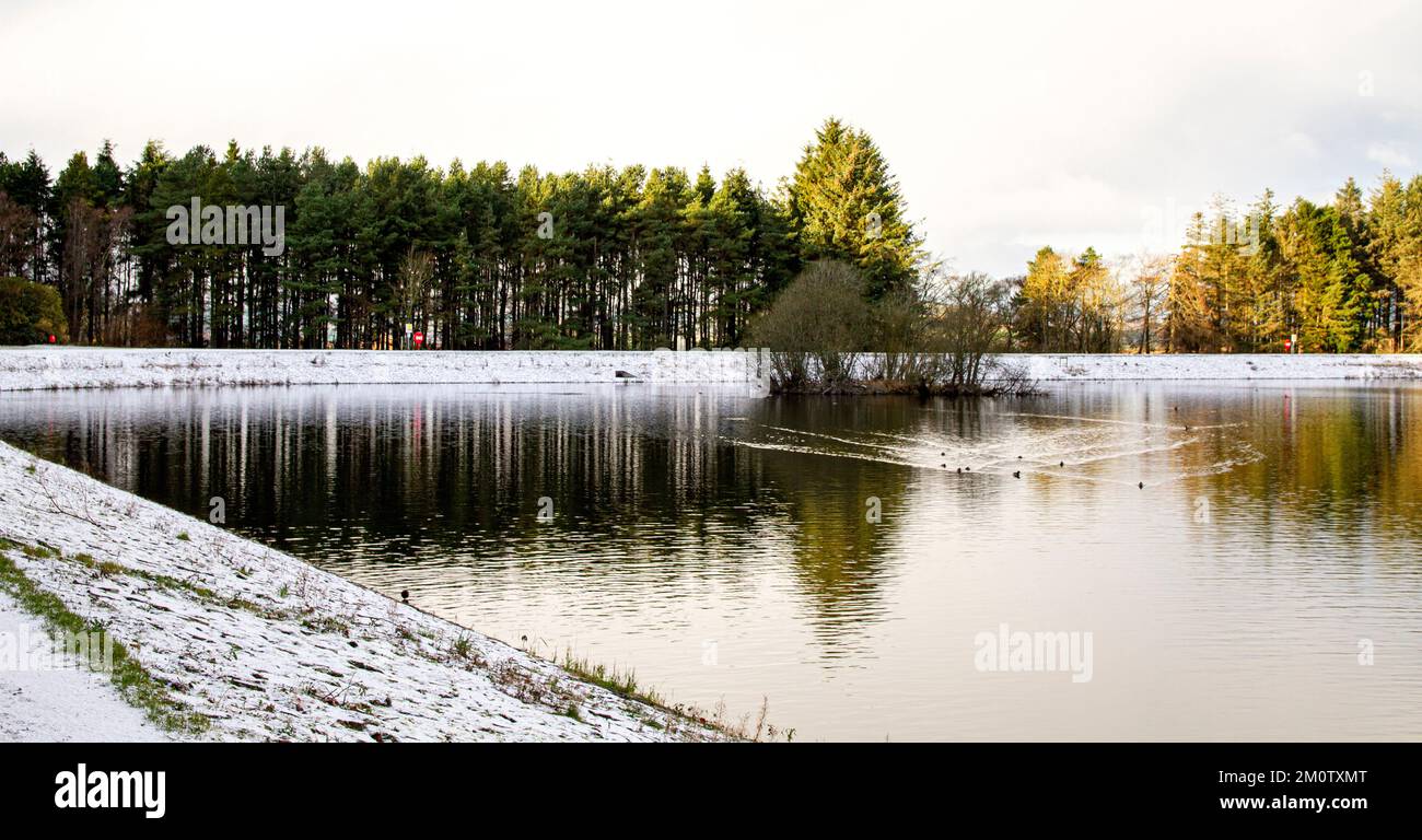 Dundee clatto country park hi-res stock photography and images - Alamy