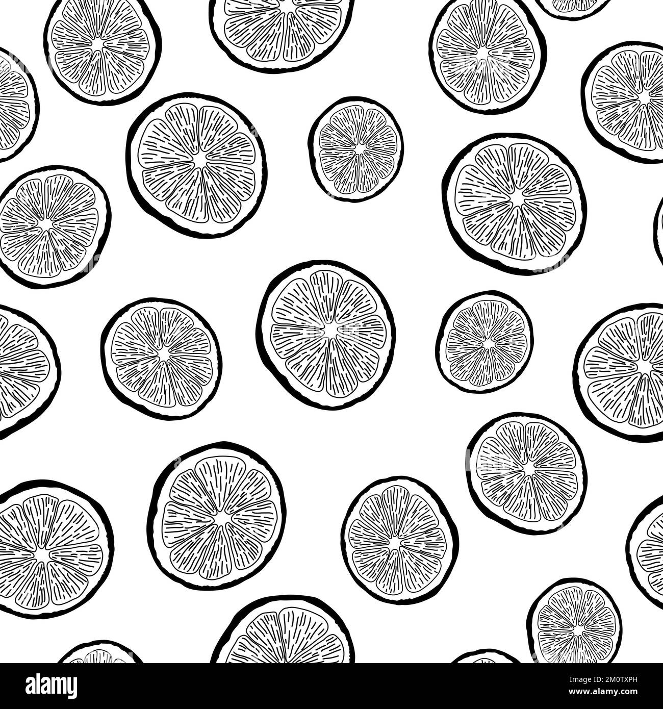 Hand-drawn lemon slices line art seamless pattern. Isolated on white ...