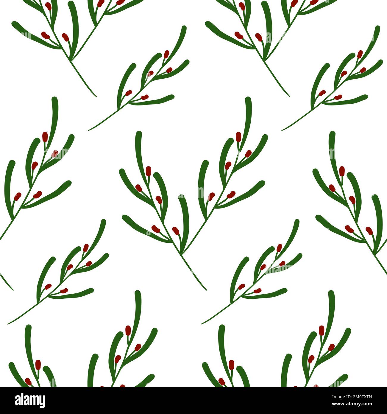 Mistletoe branches isolated vector Stock Vector Images - Alamy