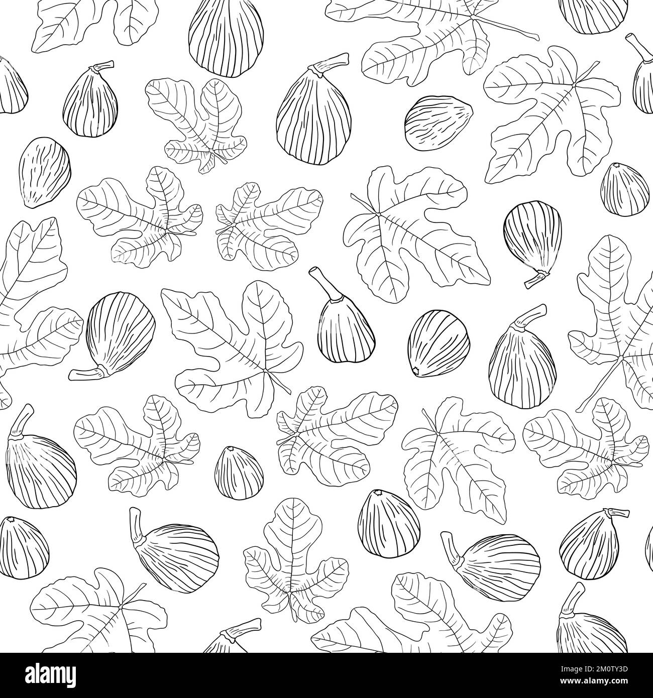 Fig tree leaves and fruits line art vector isolated seamless pattern ...