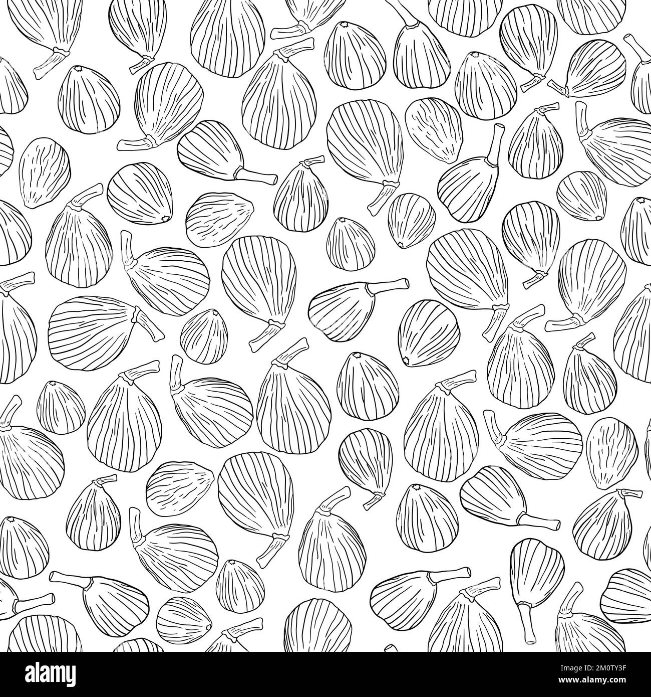 Figs line art vector isolated seamless pattern Stock Vector Image & Art ...