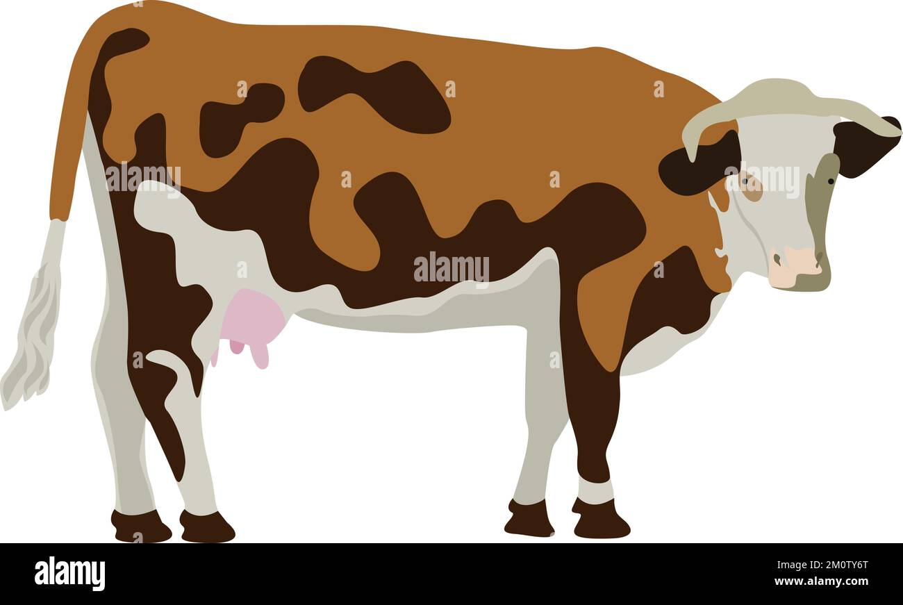 Cow vector flat illustration isolated on white Stock Vector Image & Art ...