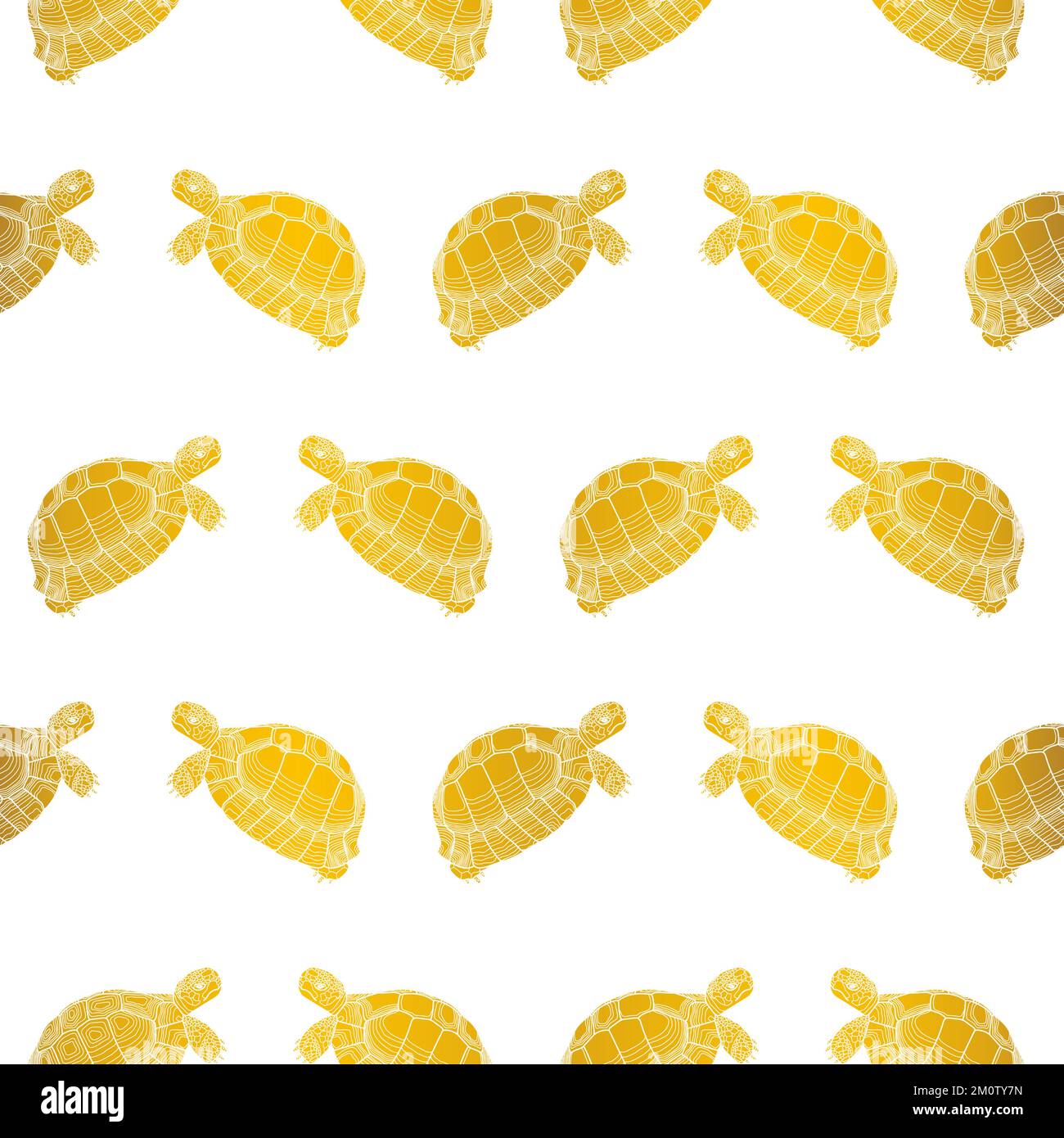 Tortoiseshell Stock Vector Images - Alamy