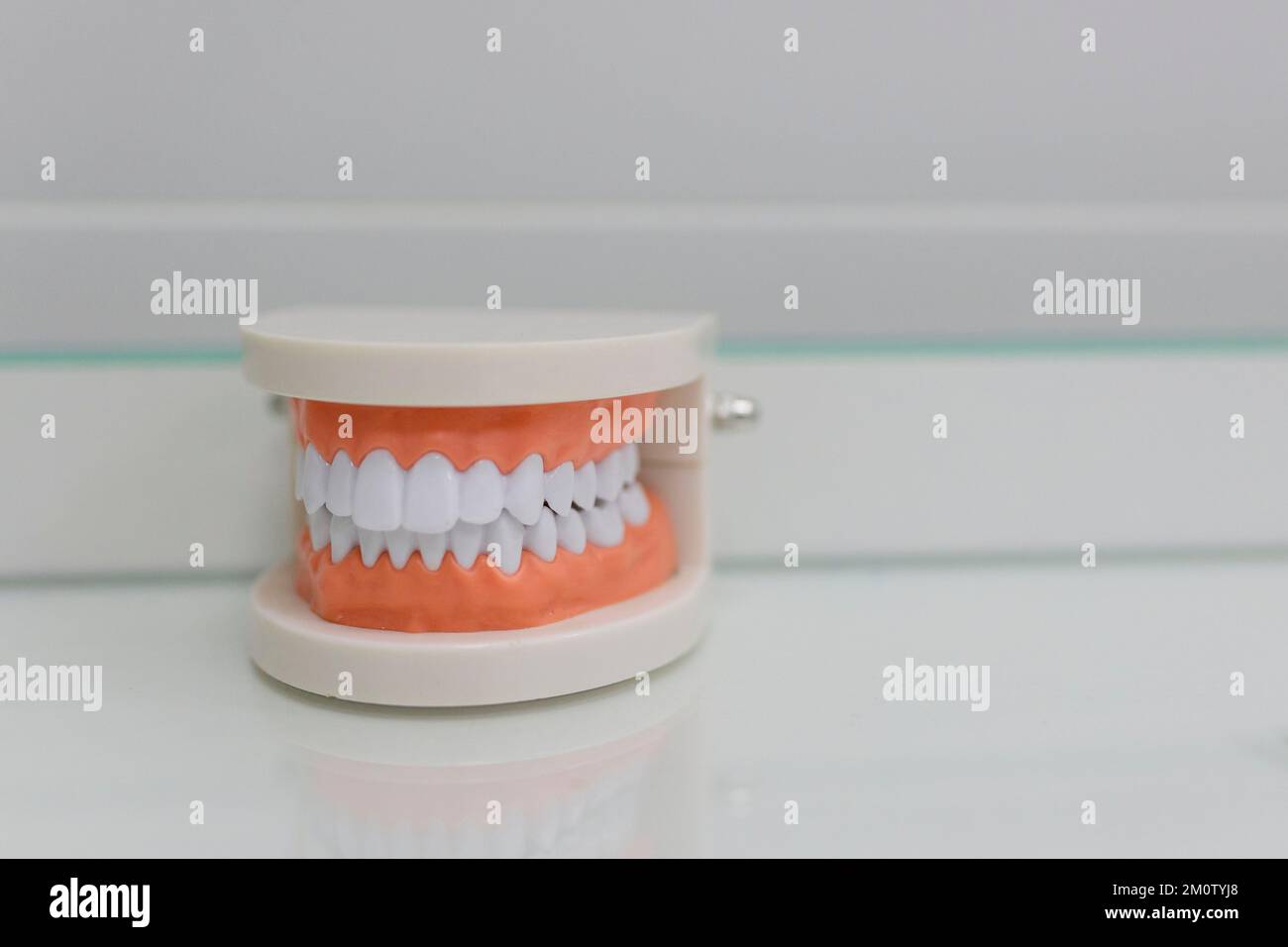 Human jaws hi-res stock photography and images - Alamy