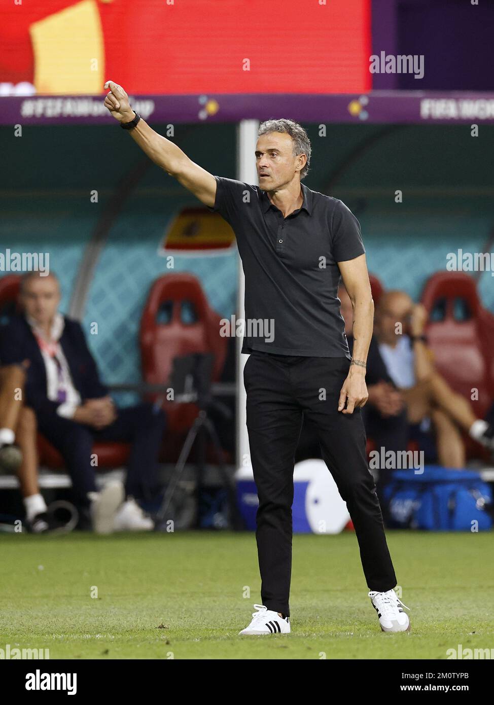 AL-RAYYAN - Spain coach Luis Enrique during the FIFA World Cup Qatar ...