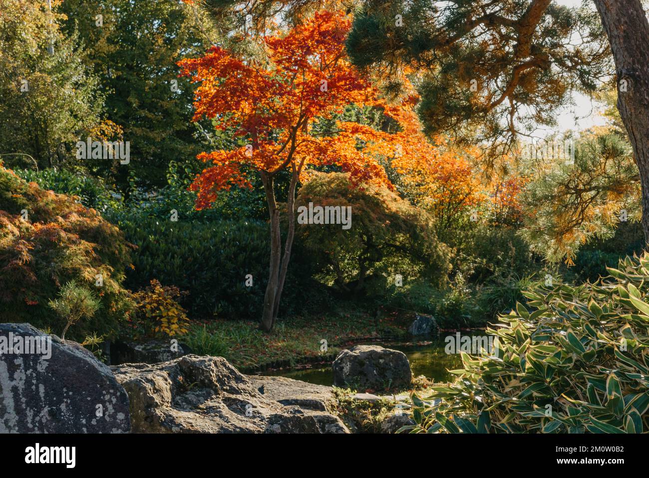 Beautiful calm scene in spring Japanese garden. Japan autumn image ...